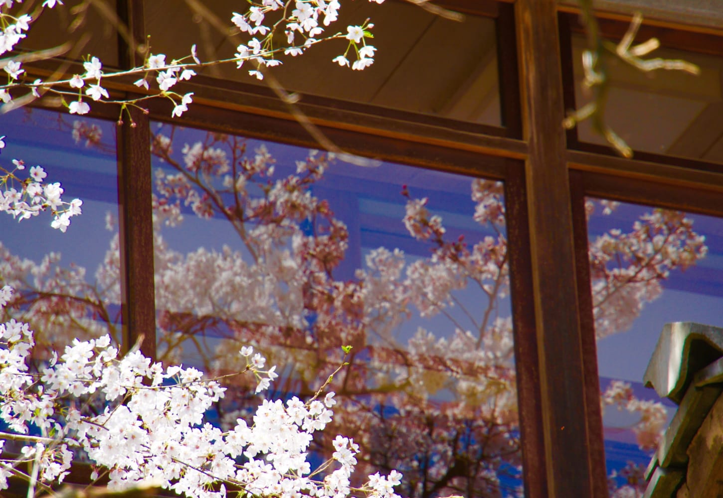 Jak vybrat okna do domu - typy, druhy skel - Saint-Gobain Glass